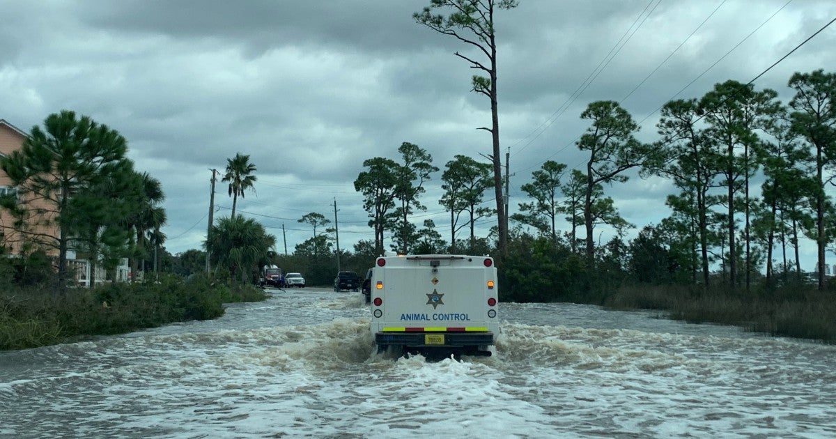 HSUS Animal Rescue Team deploys in hurricane-ravaged Florida | Humane ...