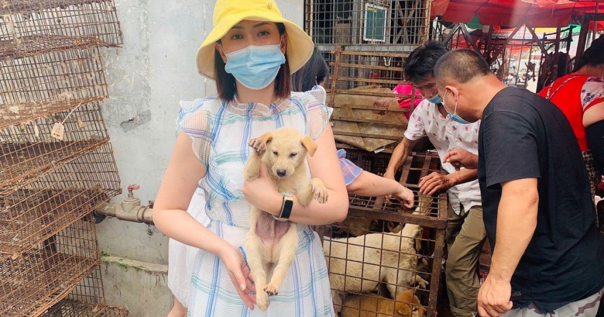 Yulin dog meat festival to begin this weekend, defying Chinese ...