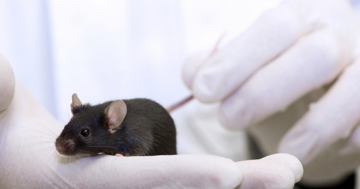 Procter & Gamble, maker of Pantene and Herbal Essences, joins fight to ...