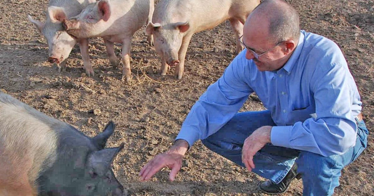 Trump’s ag relief program will benefit factory farms, not family ...