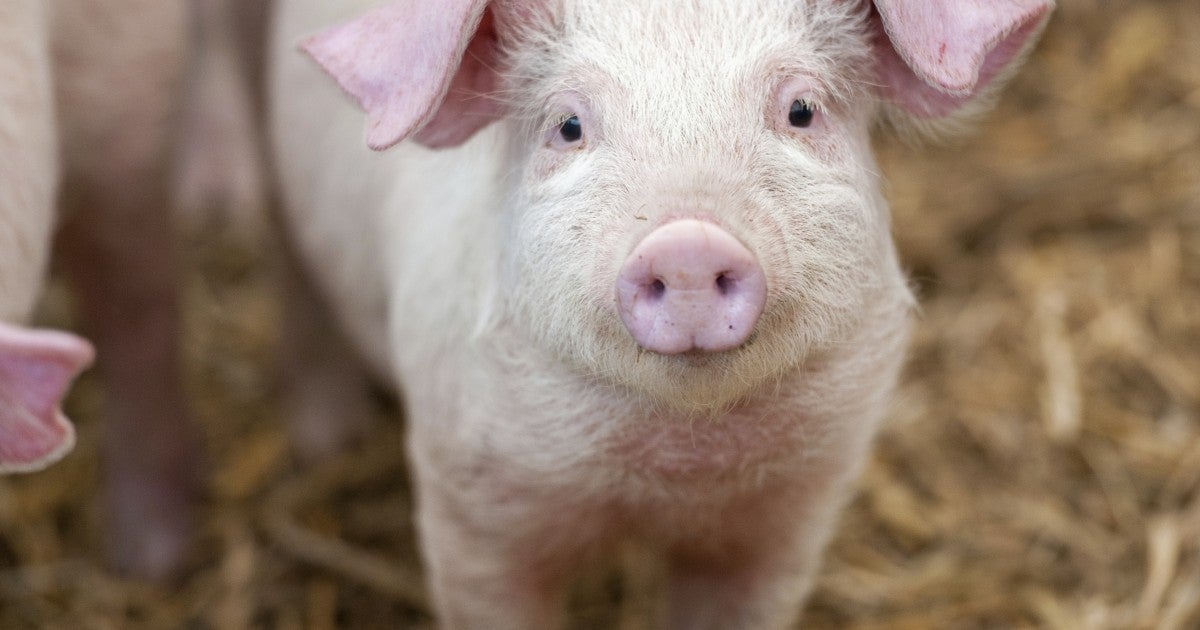 Court stops millions of dollars in additional government payouts to ...