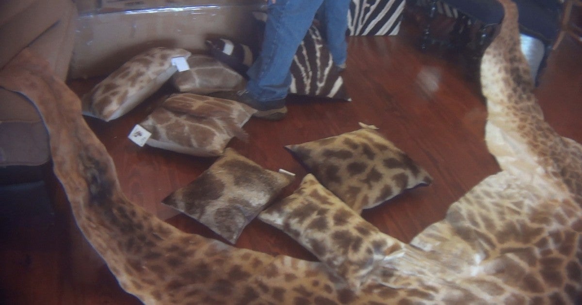 how to draw giraffe skin