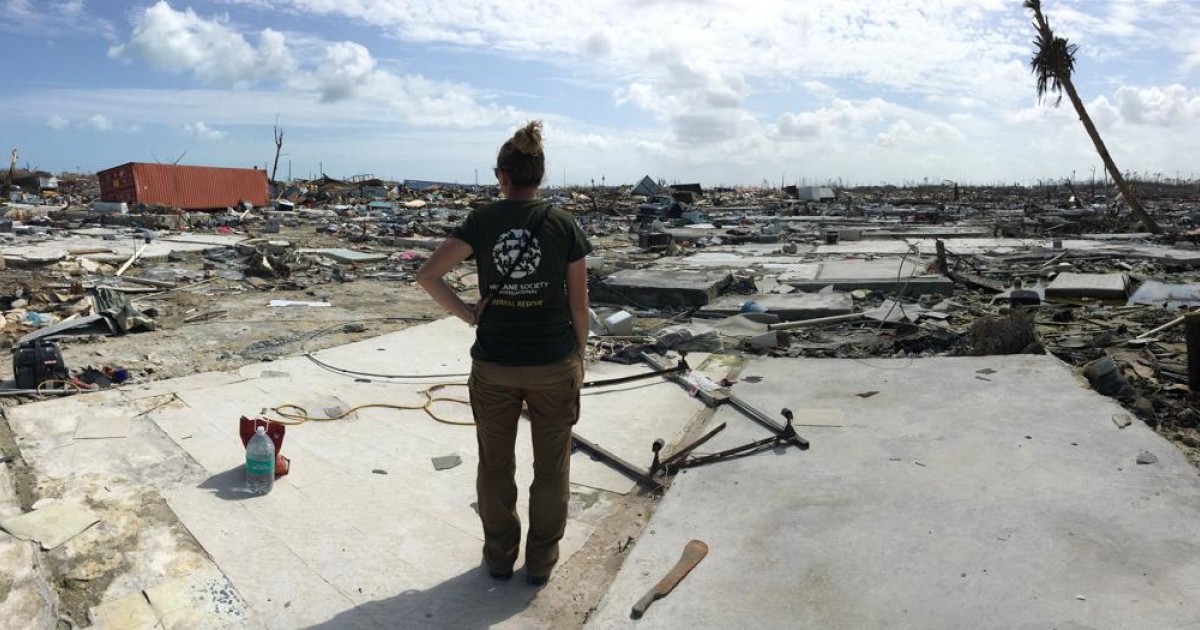‘I rescue animals from disaster areas. Climate change is a gamechanger ...