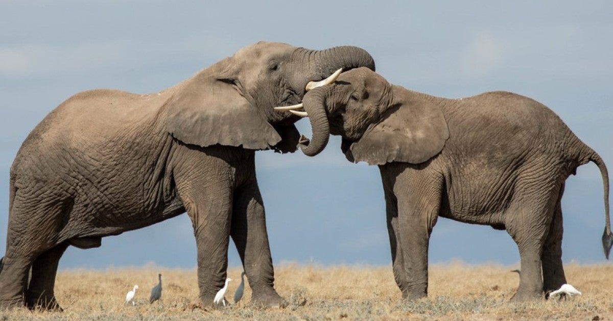 Breaking news: U.S. House approves key animal reforms, including ...