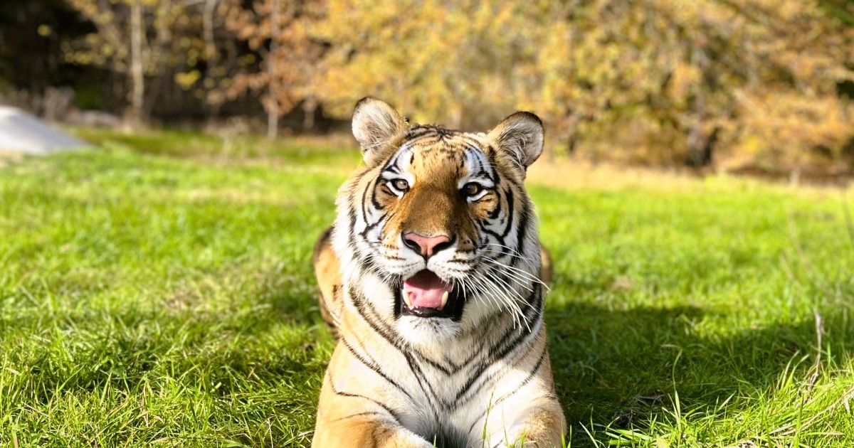 This year, we won some big animal protection battles in the nation’s ...
