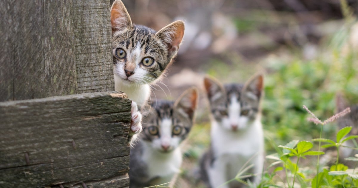 BREAKING NEWS: PACT Act passes U.S. Senate two weeks after clearing ...