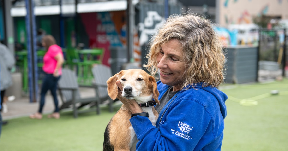 How we harnessed the power of mass media to help animals in 2023 ...
