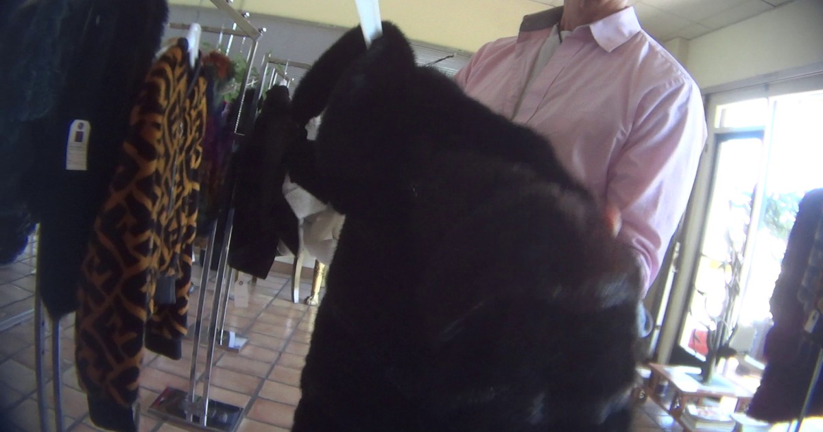 Undercover video exposes retailers flouting fur sales ban in California ...