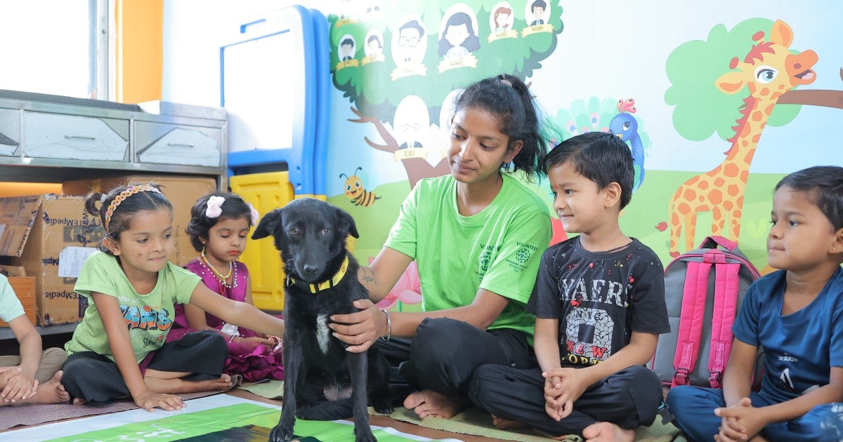 Children in India learn about street dog safety through giant board ...