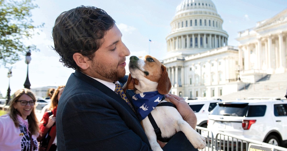 How the Animal Welfare Act has evolved over the decades and what still ...