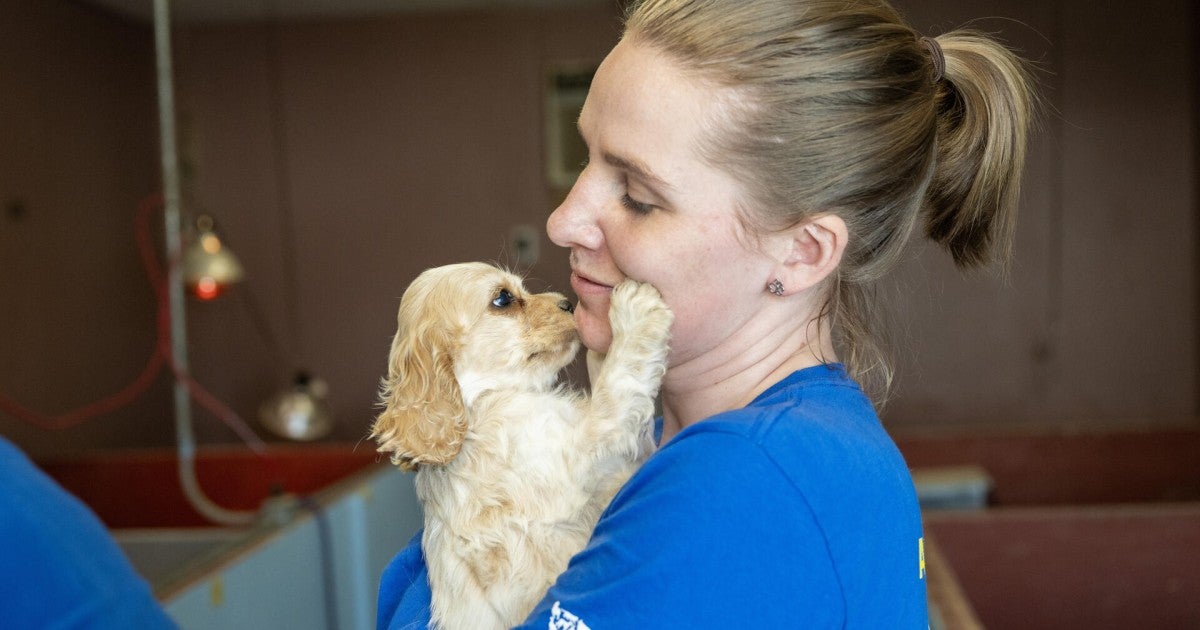 We’re making dogs and cats the winners in the fight against puppy and ...