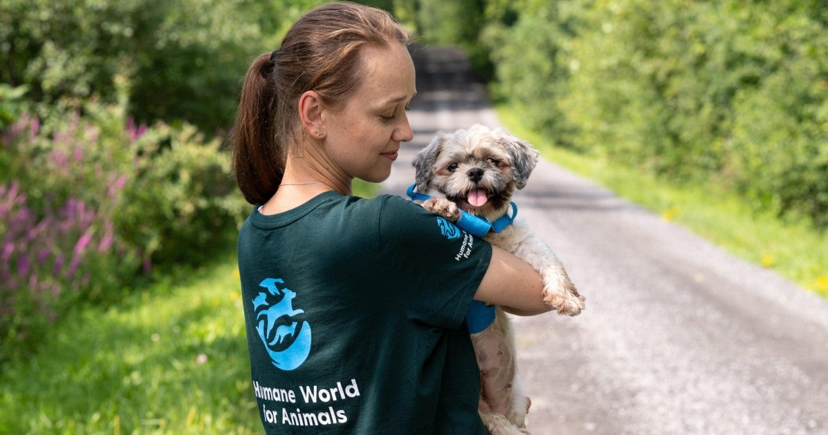 Careers in Animal Welfare | Humane World for Animals Jobs | Humane ...