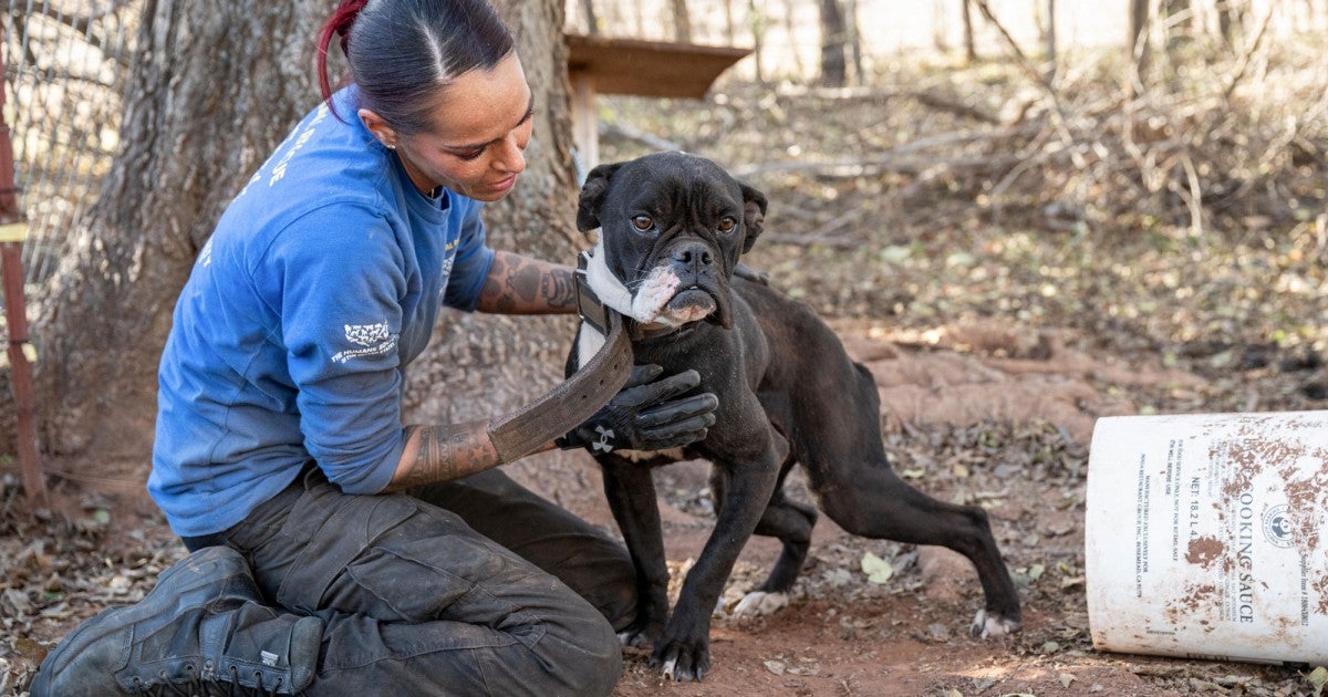 Humane World for Animals | Formerly Humane Society of the United States ...
