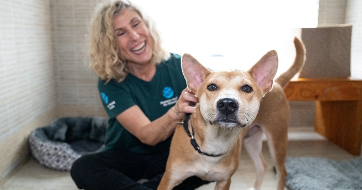 Humane Society to become "Humane World for Animals” to better reflect ...