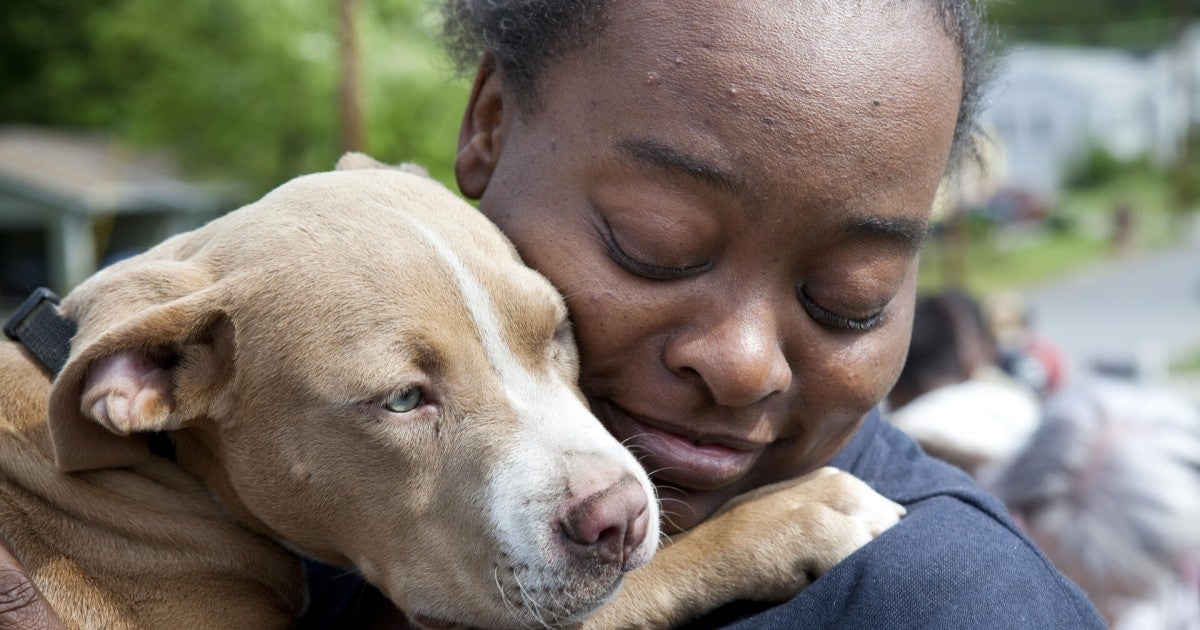 New research on Pets for Life shows how meaningful the program is | Humane World for Animals