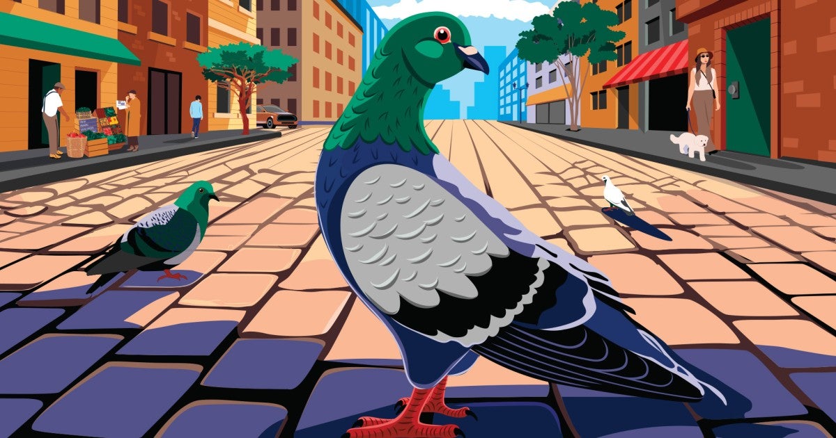 The secret lives of misunderstood animals | Humane World for Animals