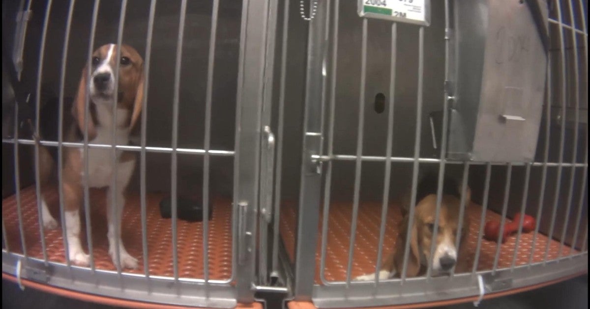 US Food and Drug Administration makes significant announcement about ...