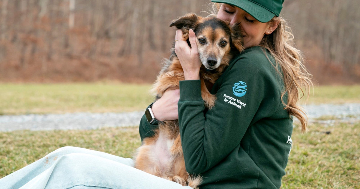 Leave a Legacy for Animals | Humane World for Animals