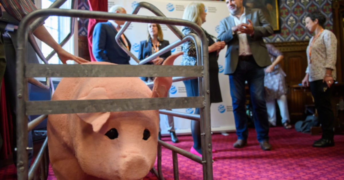 New polling reveals 69% of Brits reject the practice of caging mother ...