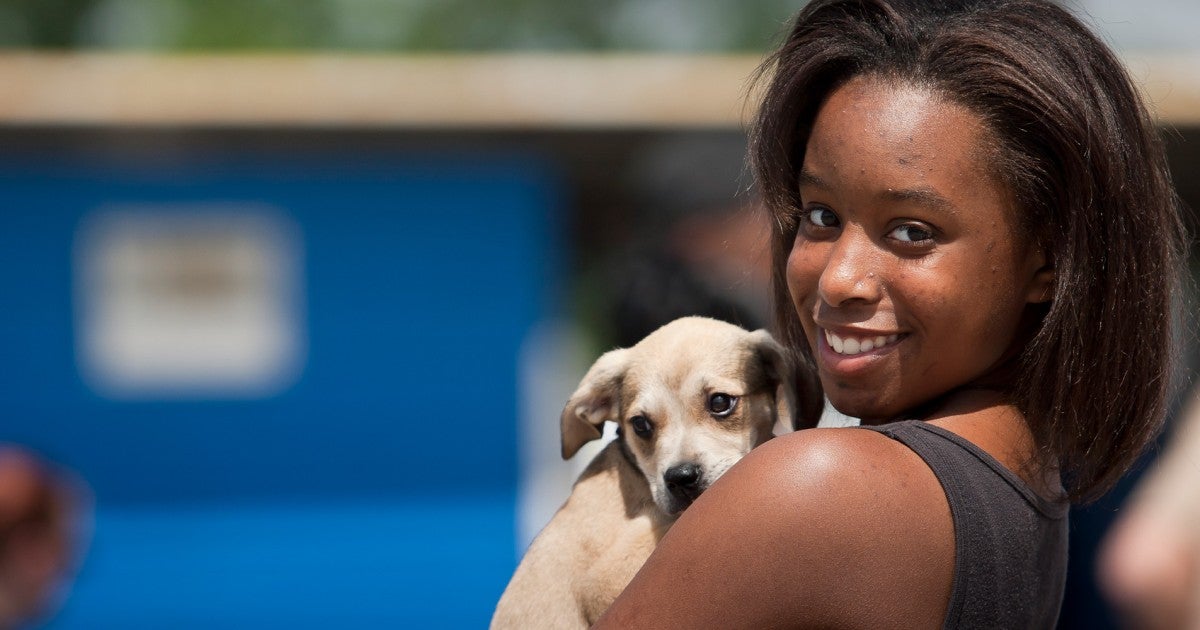 Expert Dog Care Tips | Health, Behavior & Training | Humane World for Animals