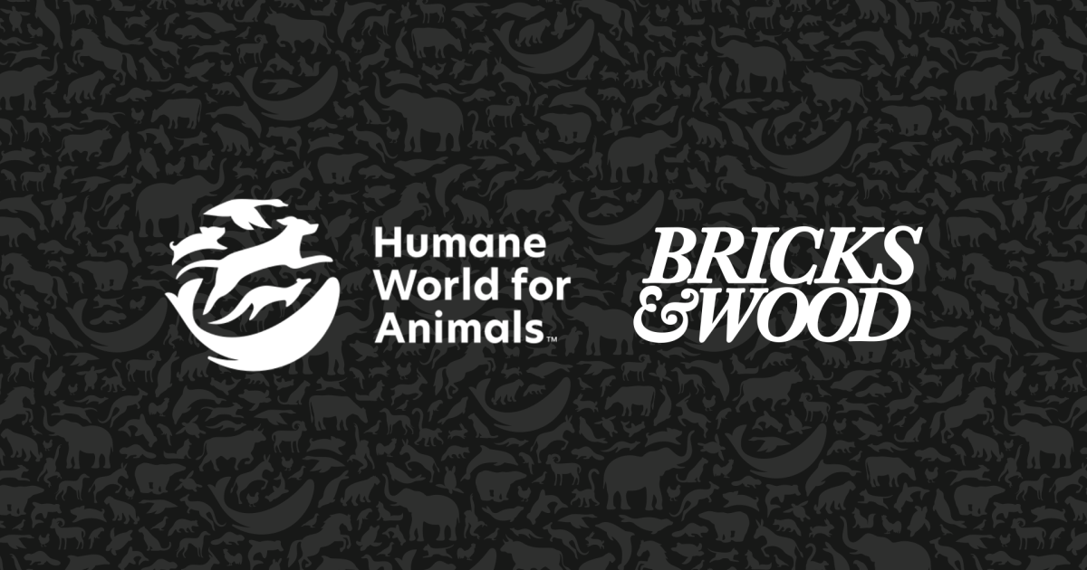 Humane World for Animals and Bricks & Wood launch compassionate capsule ...