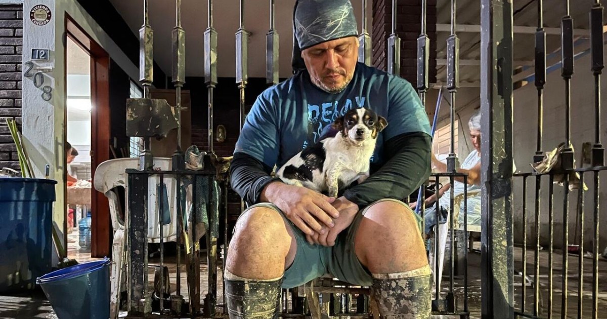 Sending help to animals in disaster zones across Mexico, Alaska and the ...