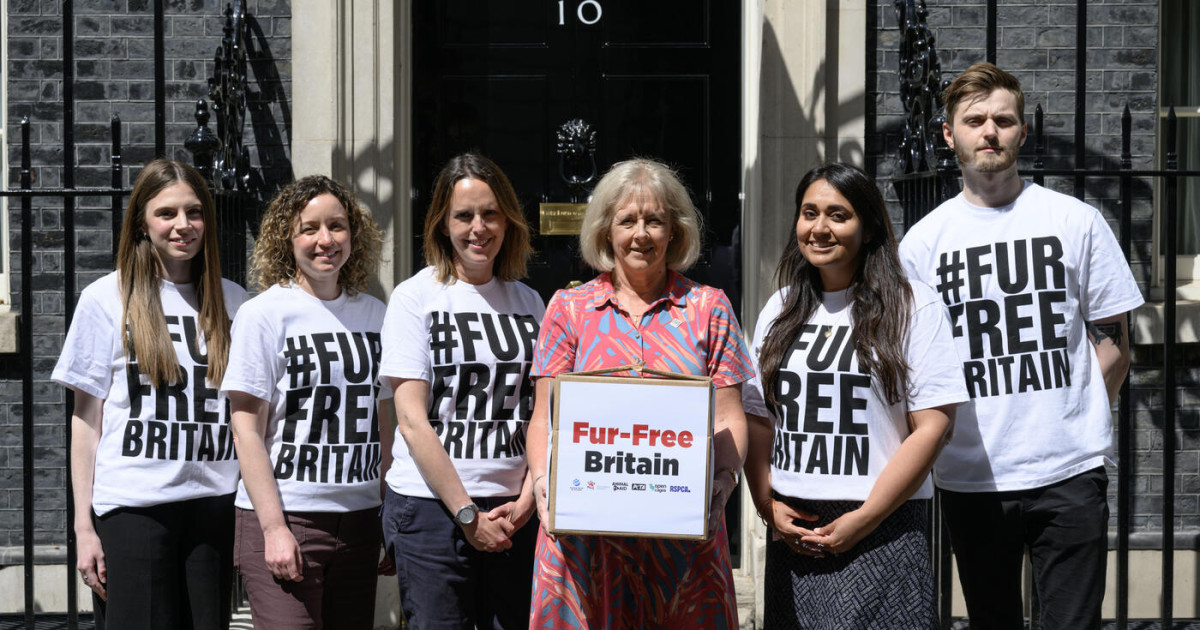 Fur-Free Britain | Humane World for Animals