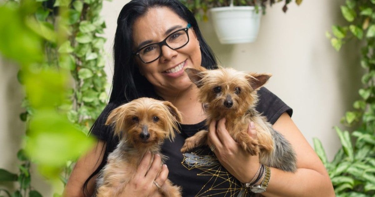 Dogs rescued from puppy mill in Limón receive justice | Humane World ...