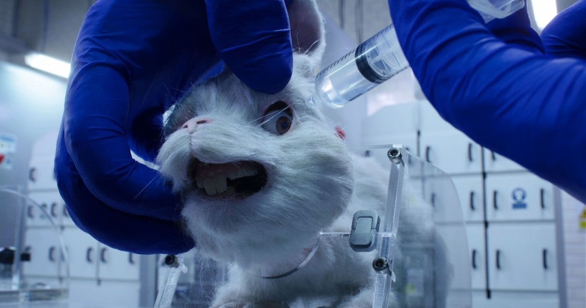 European citizens demand an end to animal testing | Humane World for ...