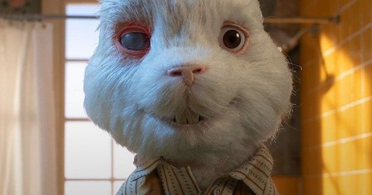 24 Korean politicians and Humane Society International/Korea celebrate ...