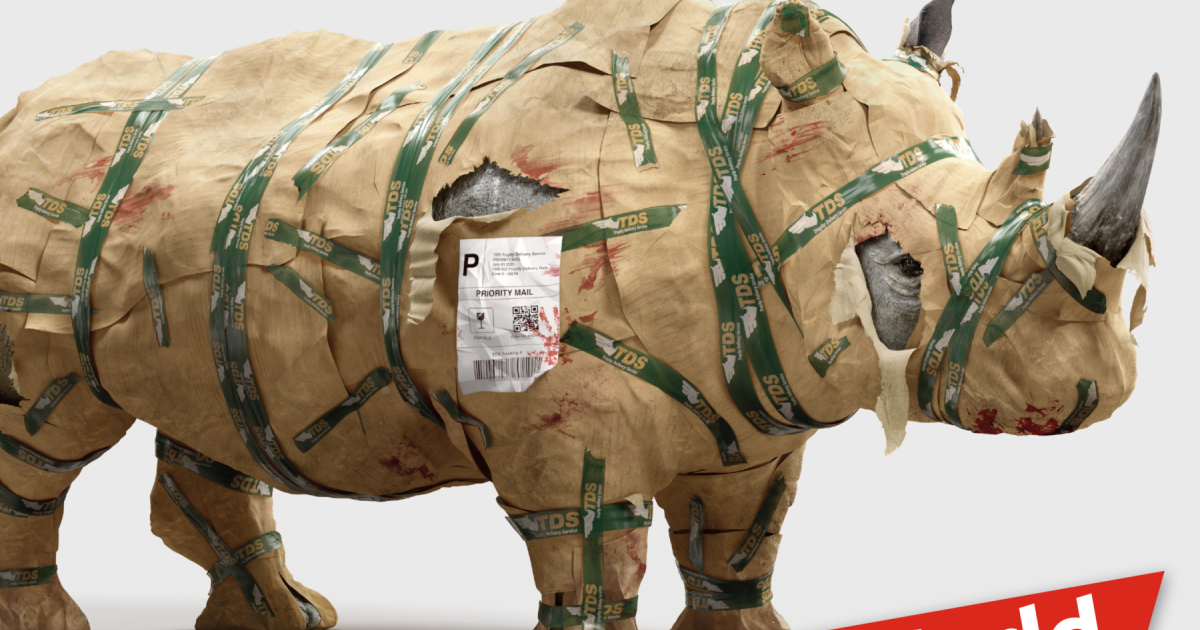 Images of bloodied dead rhinoceros shot, stuffed and delivered to the ...