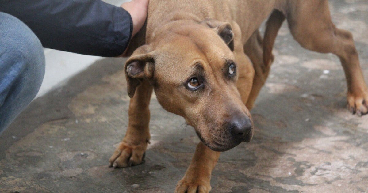 Legge di Bilancio: la Commissione Bilancio della Camera scarta l ...