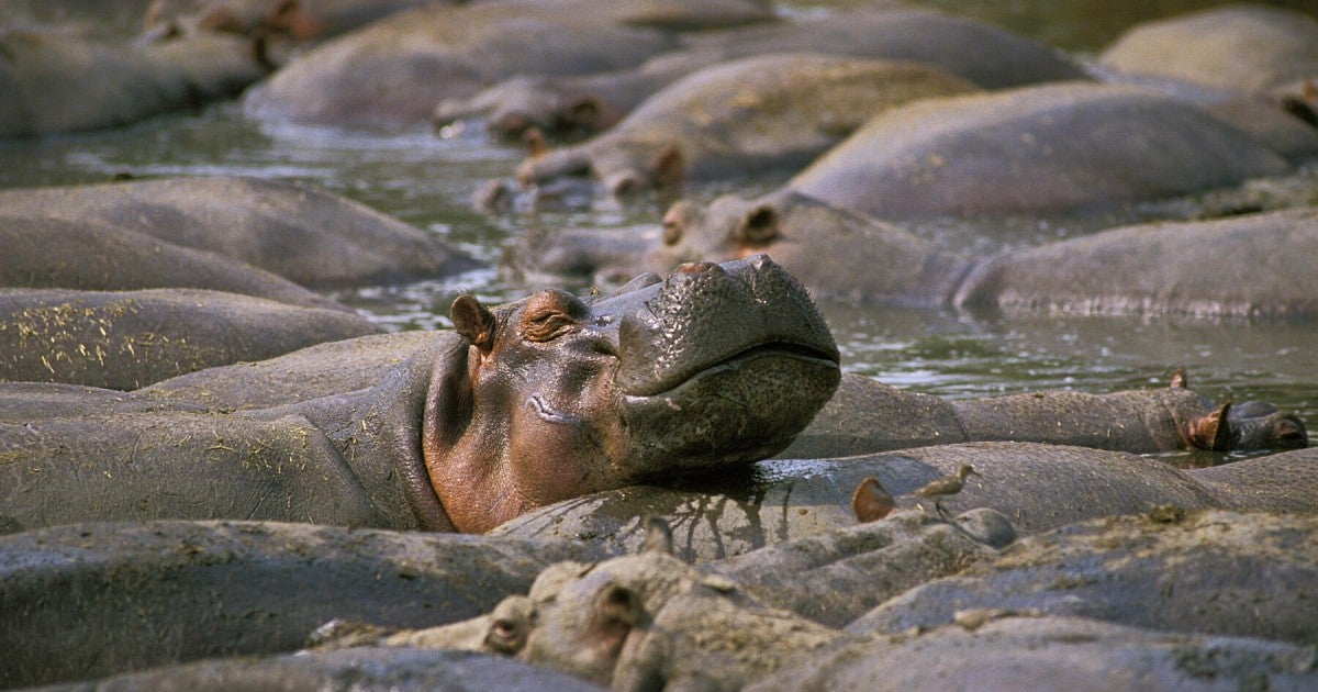 MEPs urge EU support for proposal to increase international protection ...