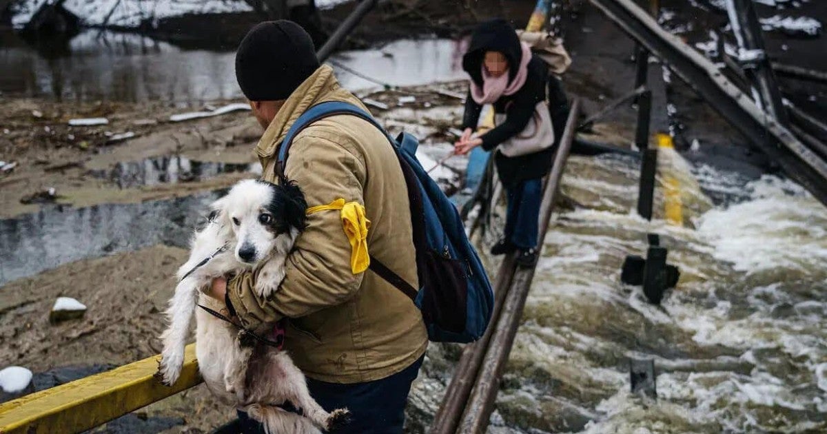 Przewoźnicy autobusowi i lotniczy w całej Europie proszeni o wsparcie ...