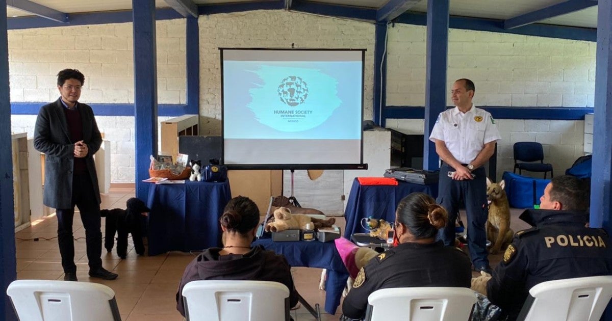 The Animal Vigilance Brigade receives training on specialized first aid ...