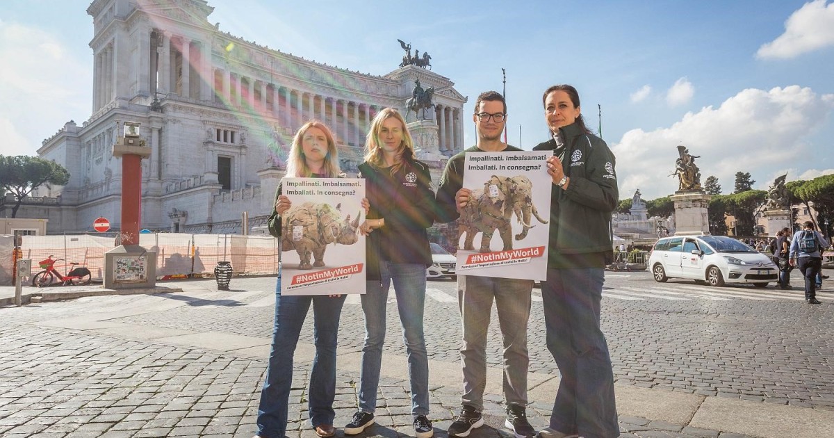 Trophy hunting is back on the Italian political agenda | Humane World ...