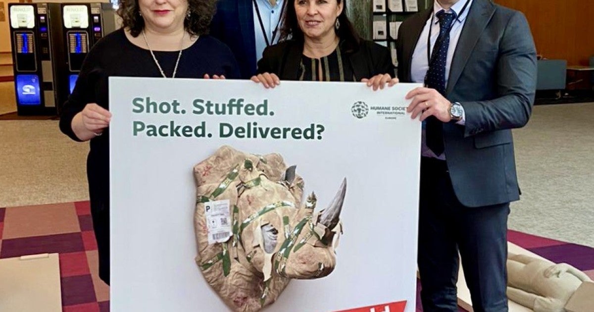 New petition puts trophy hunting back on European Parliament’s table ...