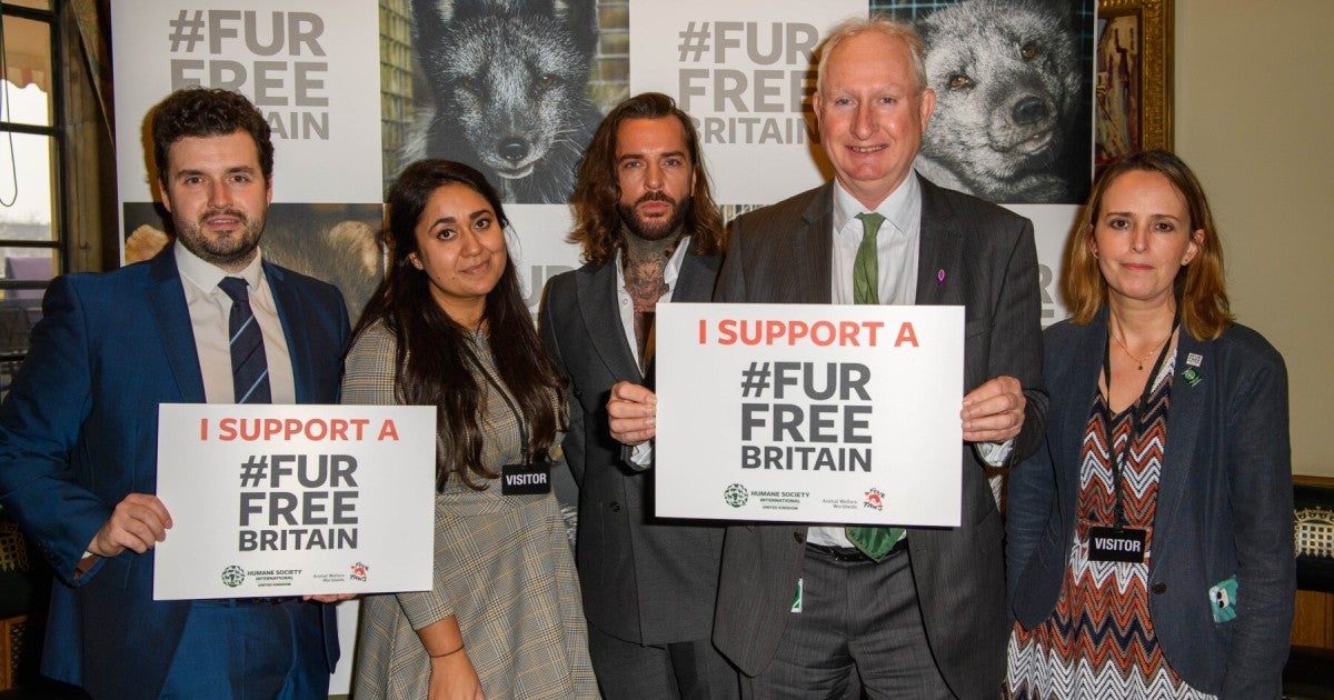 35 cross-party MPs mark 20th anniversary of UK fur farming ban, commit ...
