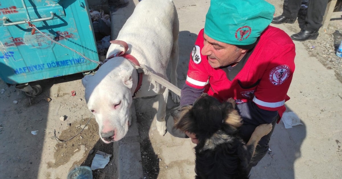 Humane Society International helps animals injured and impacted by the ...