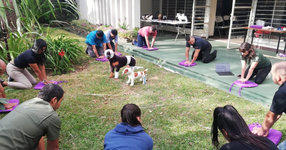 HSI/Latin America delivers first aid training to law enforcement ...