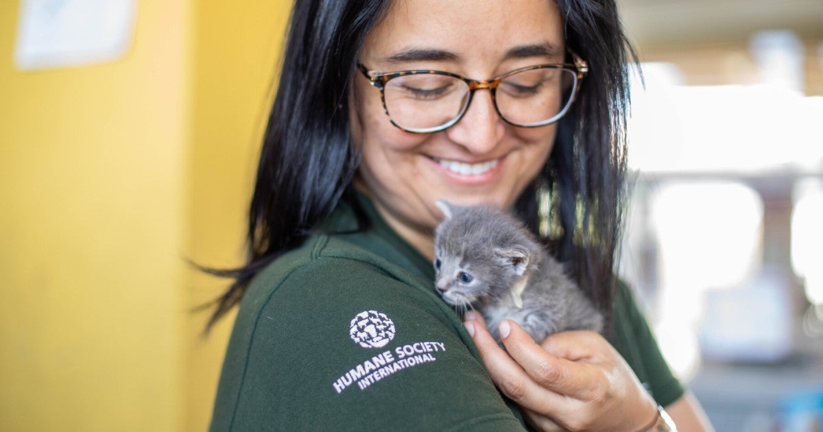 Humane Society International provides aid to burned animals affected by ...