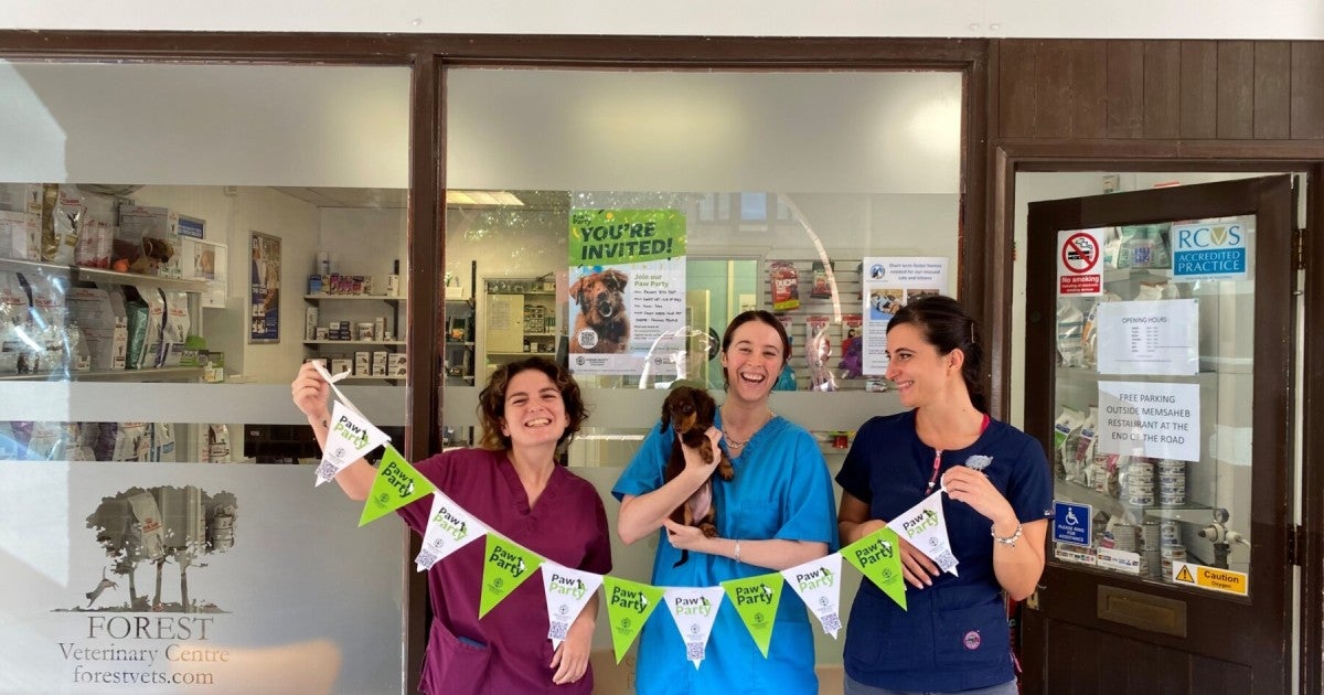 Join our Paw Party! | Humane World for Animals