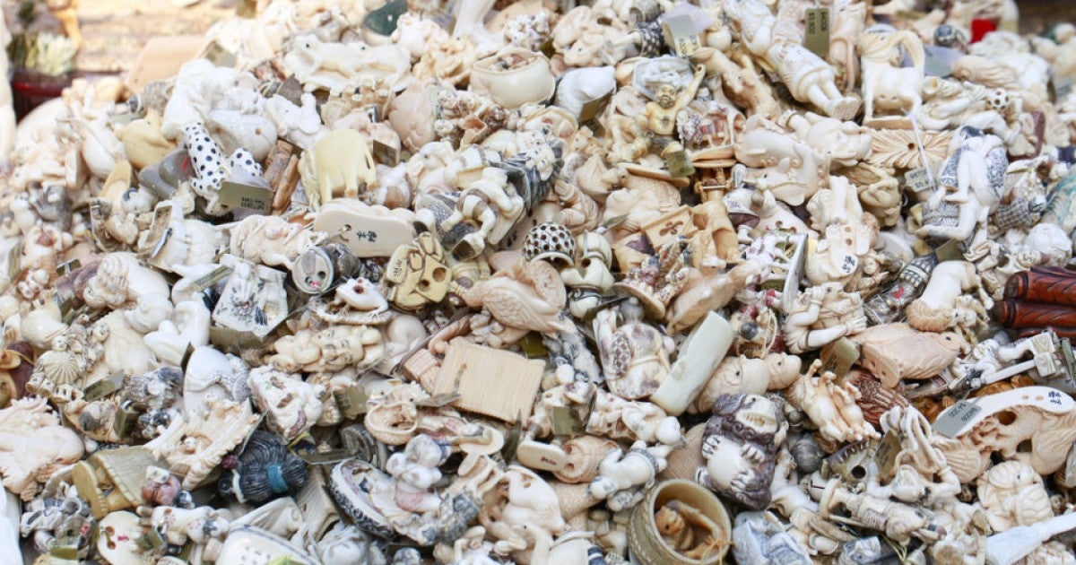 Environmental Crime Directive given more teeth to protect wildlife ...