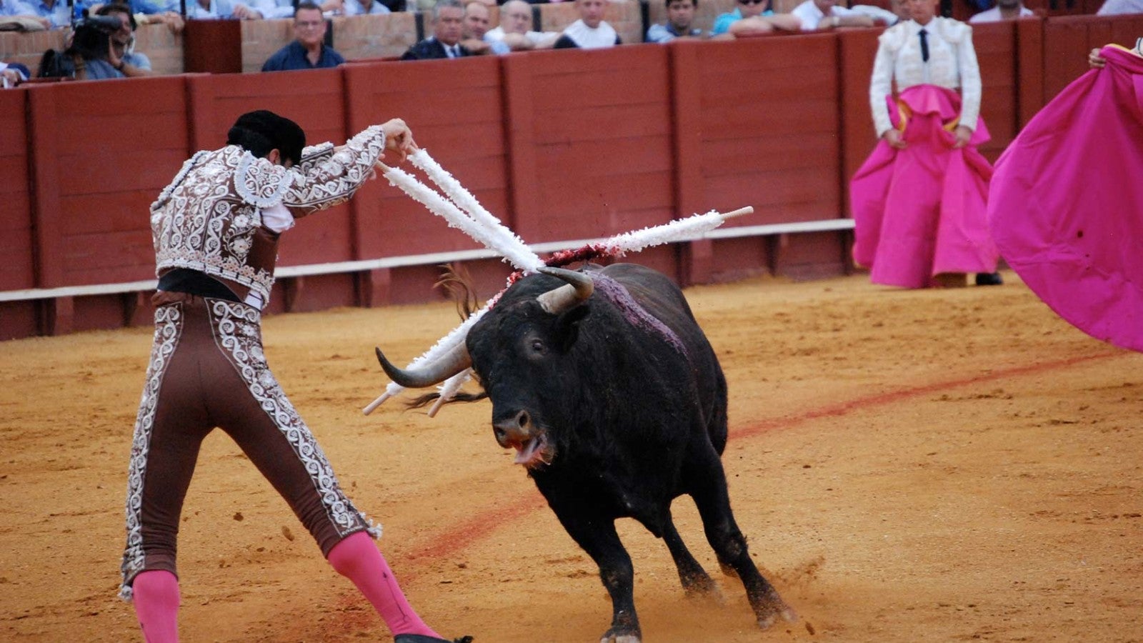 bullfighting techniques