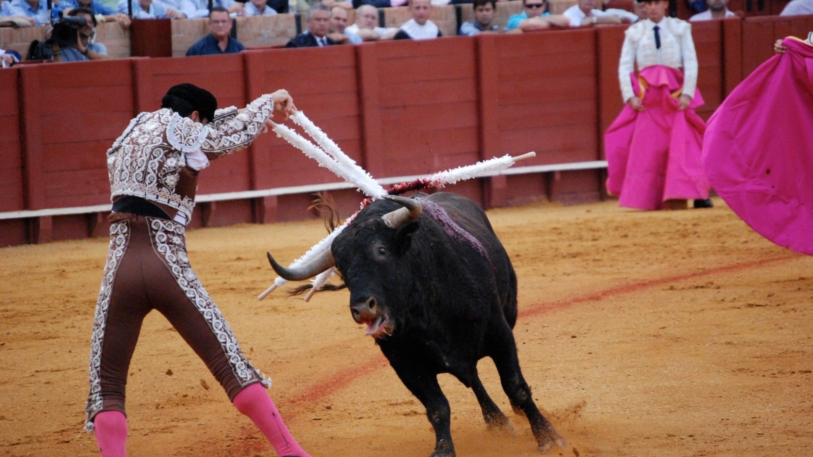 bullfighting