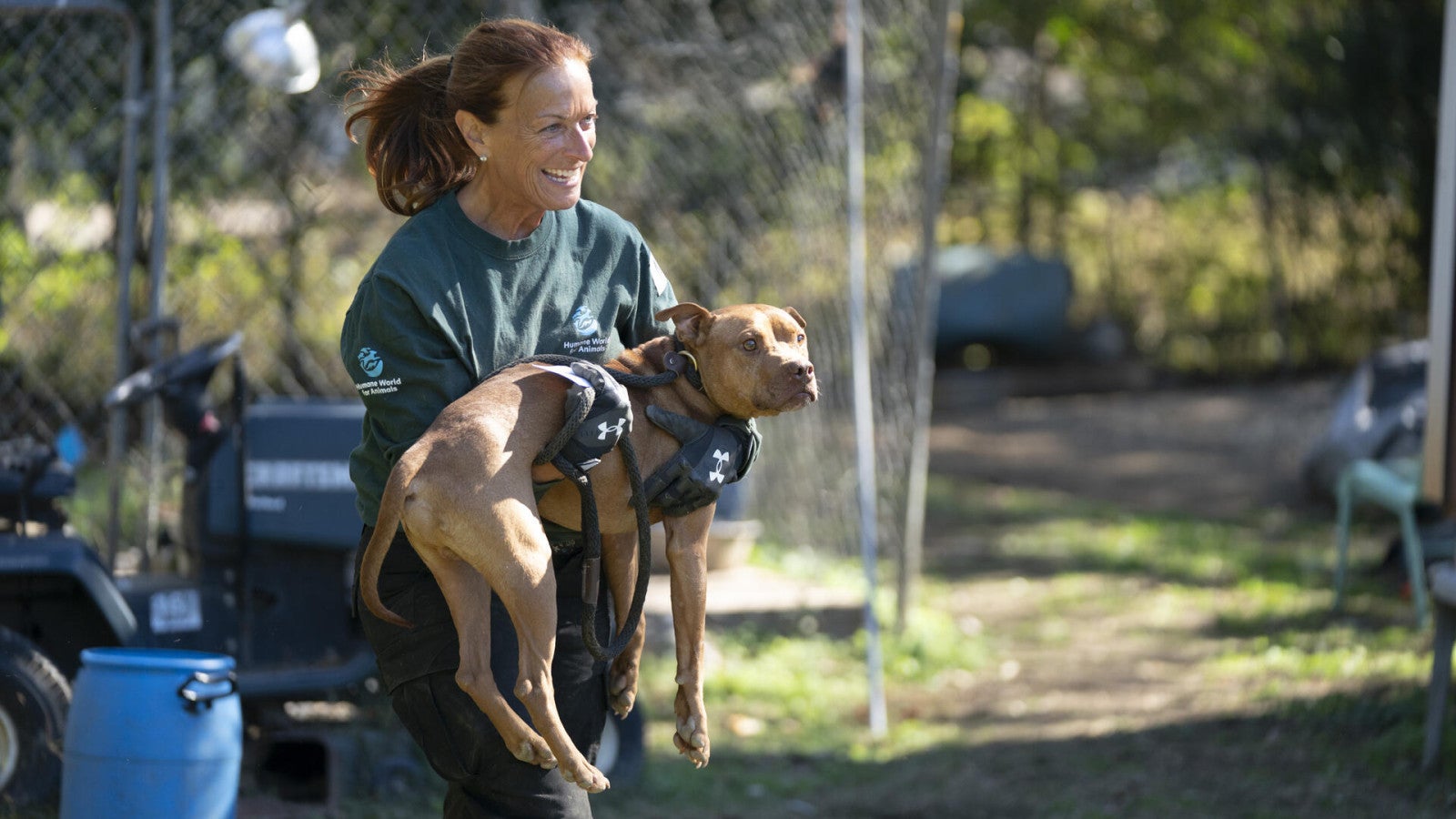 Italy’s Tough New Animal Protection Law: A Victory for Animals and ...